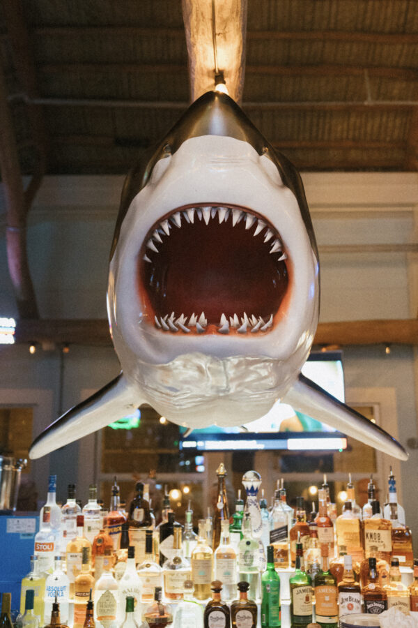 Floridays Woodfire Grill & Bar Relaunches with New Management Team and ...