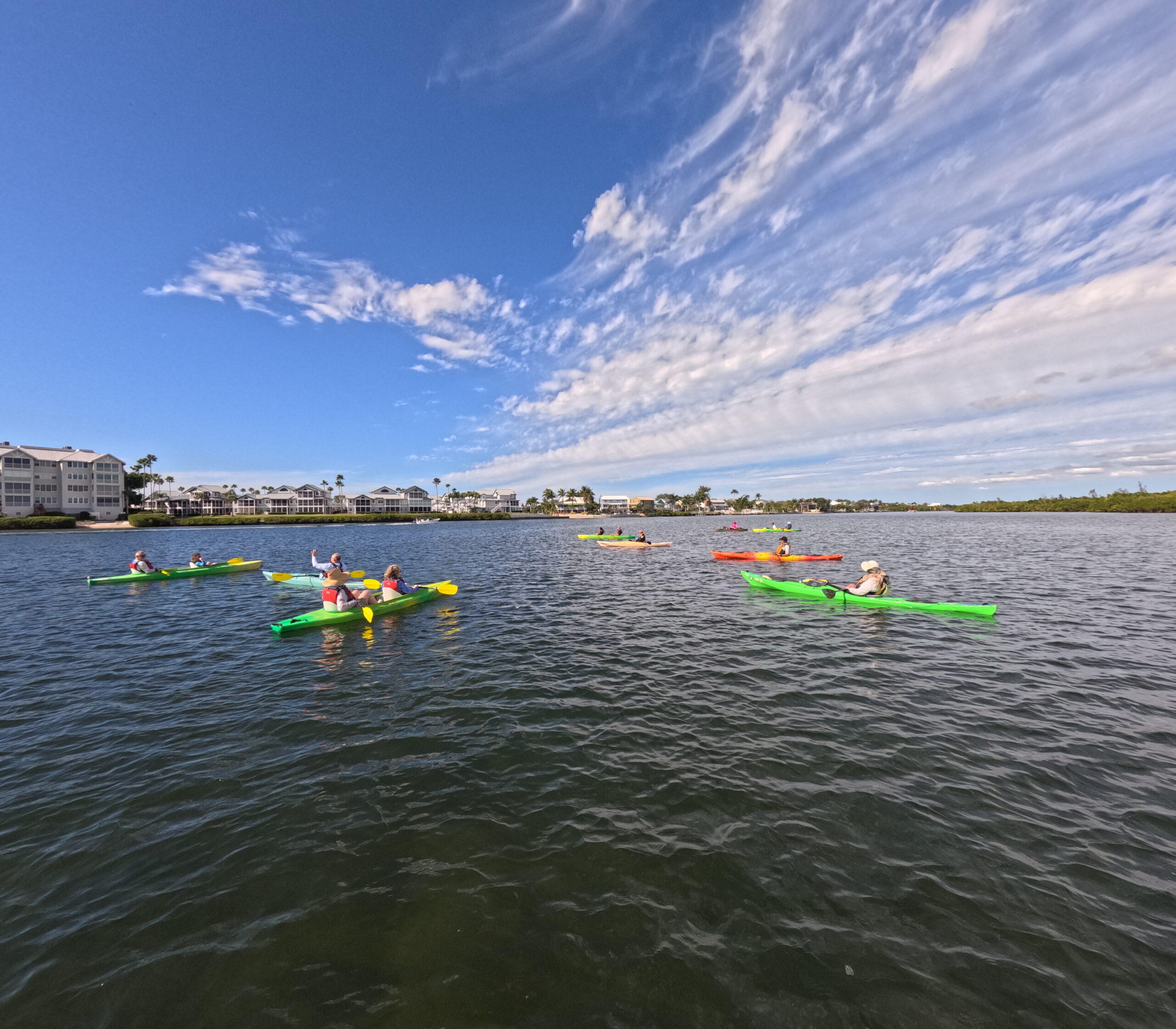 Sarasota Bay Estuary Program Partners with Wayne Adventures to Offer ...